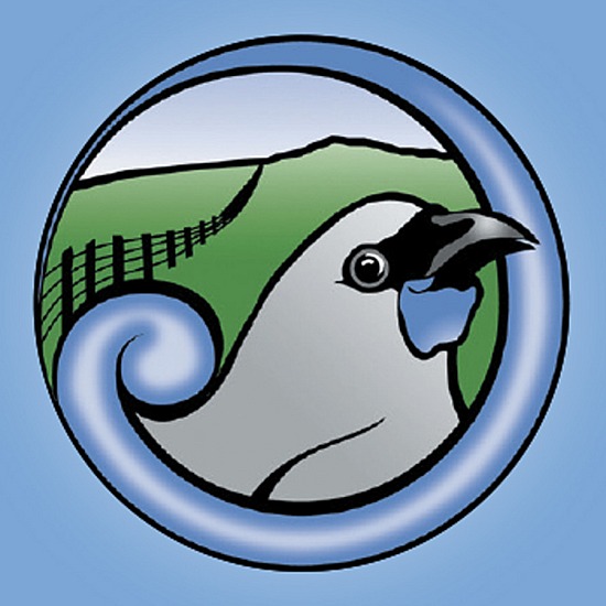 Oropi School - www.clairefraser.nz